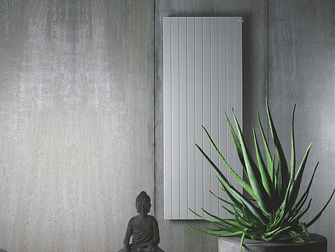 Design-Warmwasser-Heizkörper | Zehnder Systems